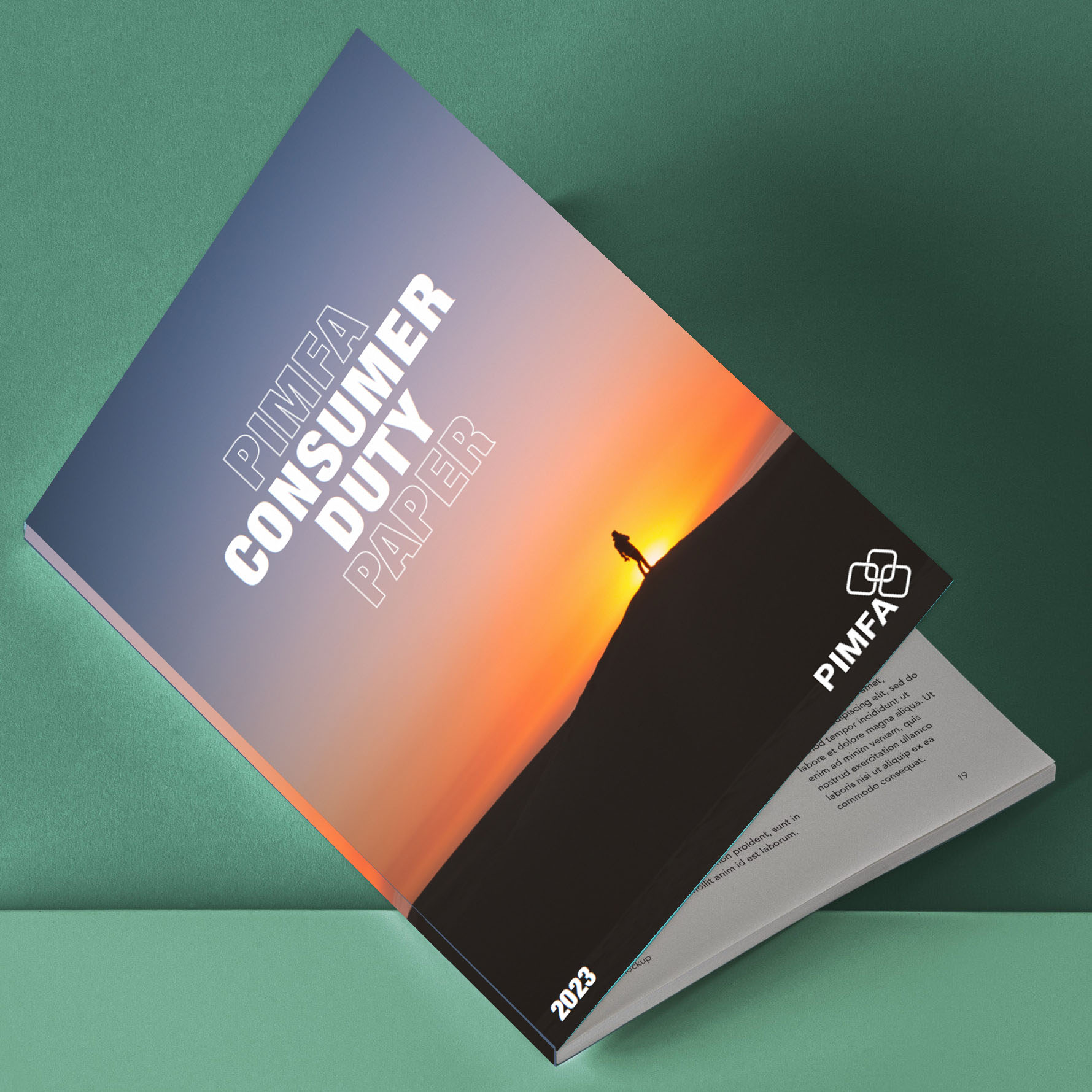 Consumer Duty - Policy and Compliance - PIMFA