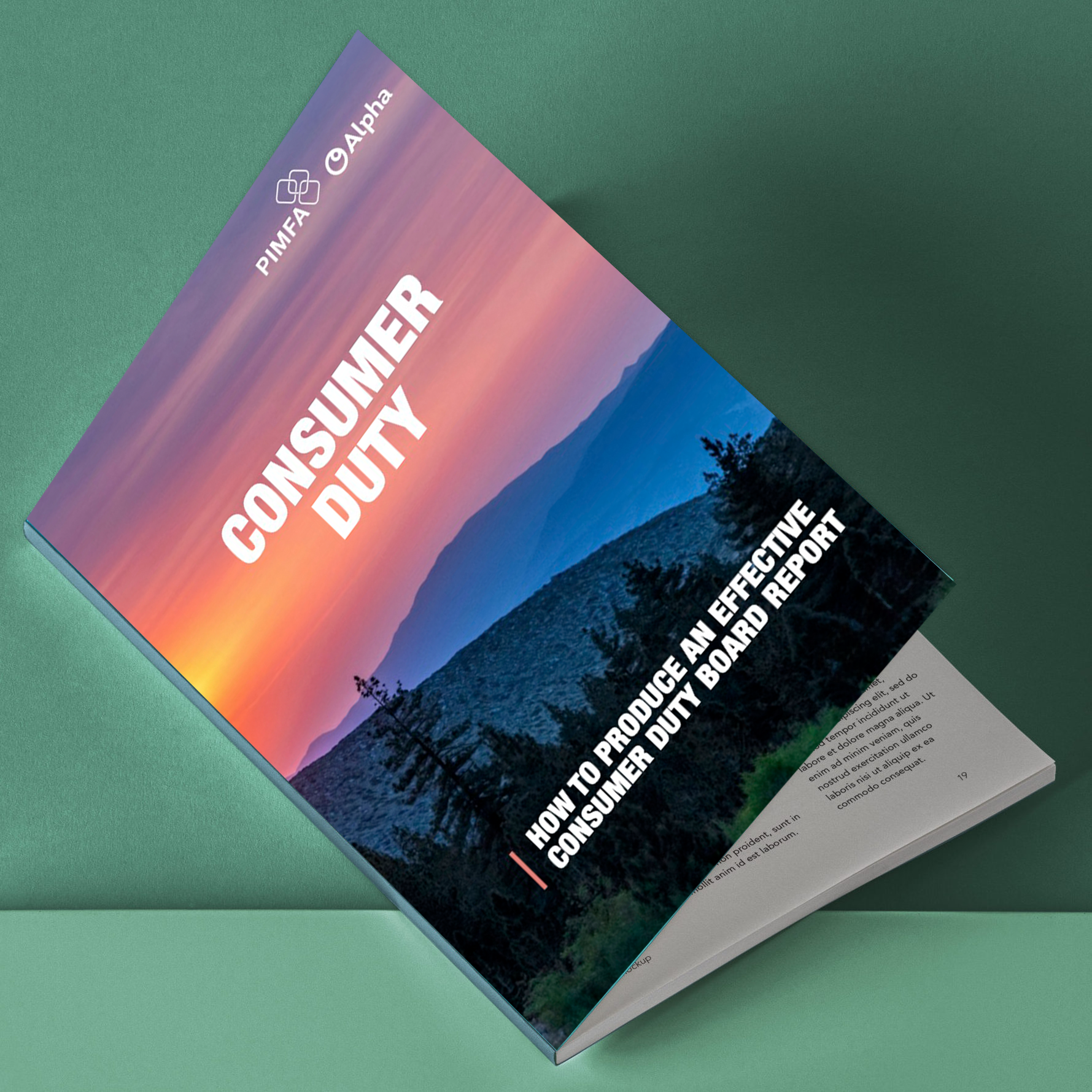 Consumer Duty - Policy and Compliance - PIMFA